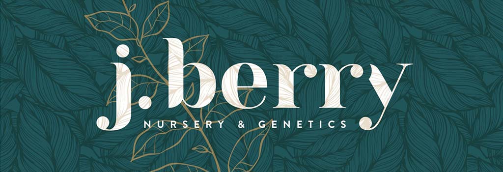 Creating Beauty That Inspires